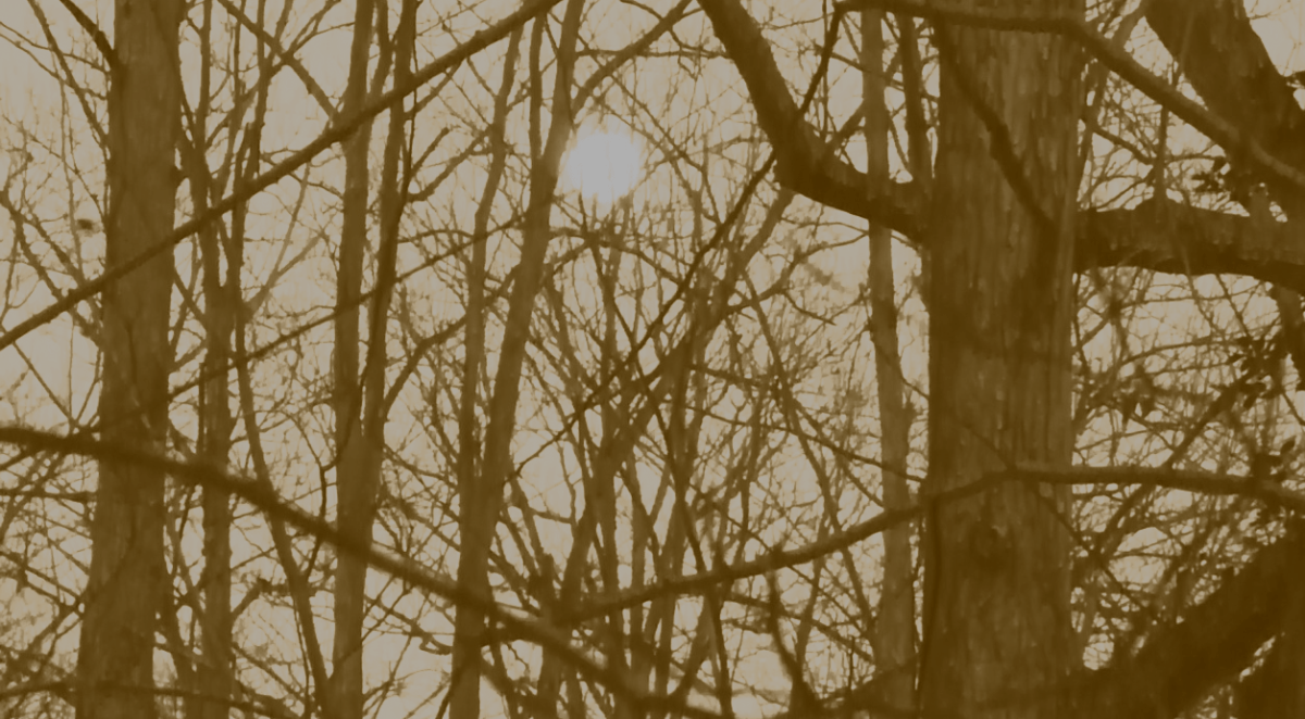 Honoring Jean Manco ~ She took me on my Ancestral Journey | Cherie Lynn ...