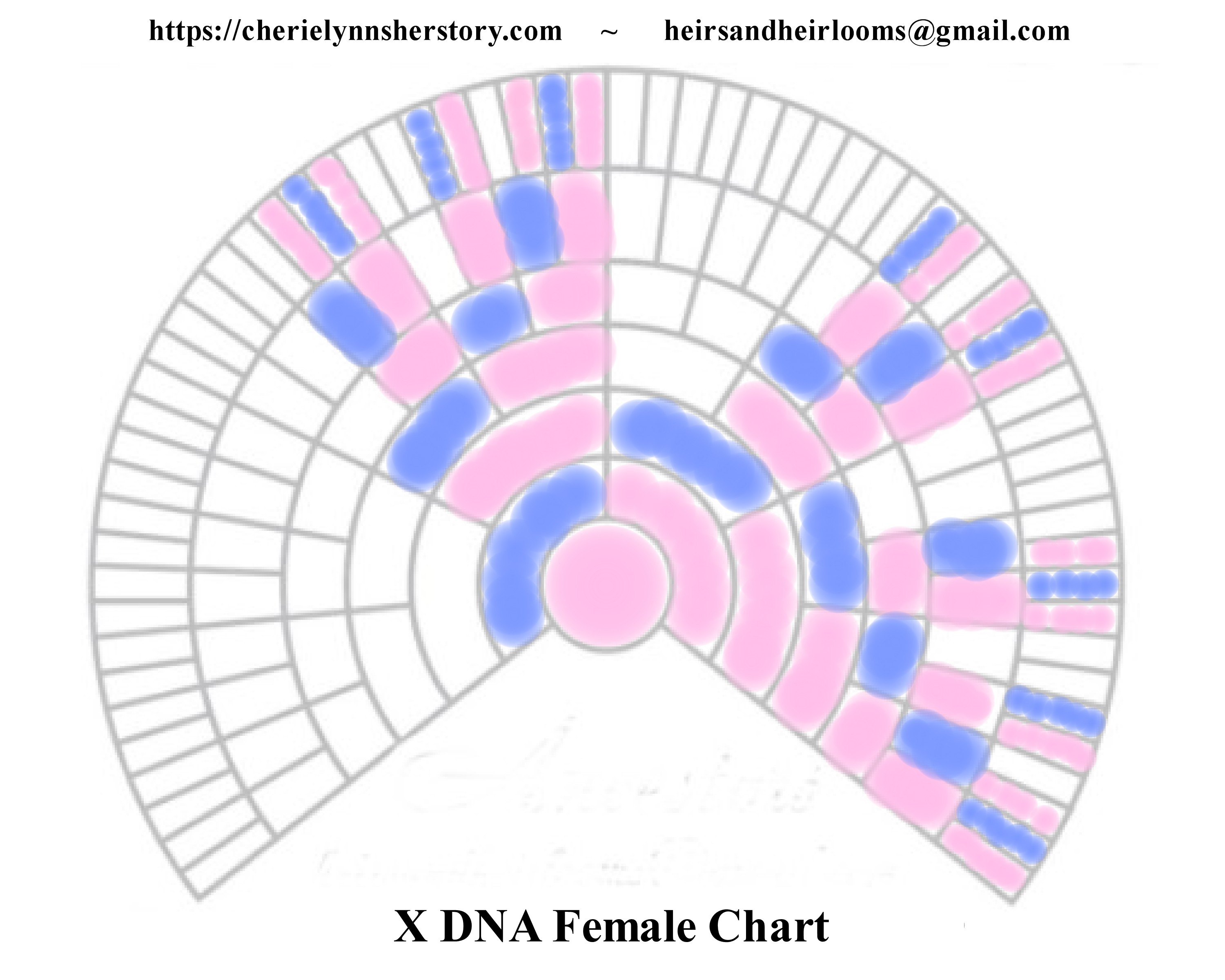 Cherie Lynn’s DNA 101s With FREE Charts And New Links To Charts ...