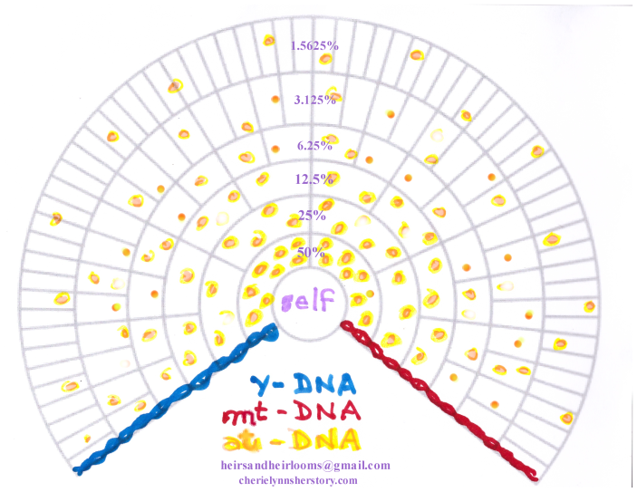 To do this right, you must have the y-dna of all your ancestral lines ...