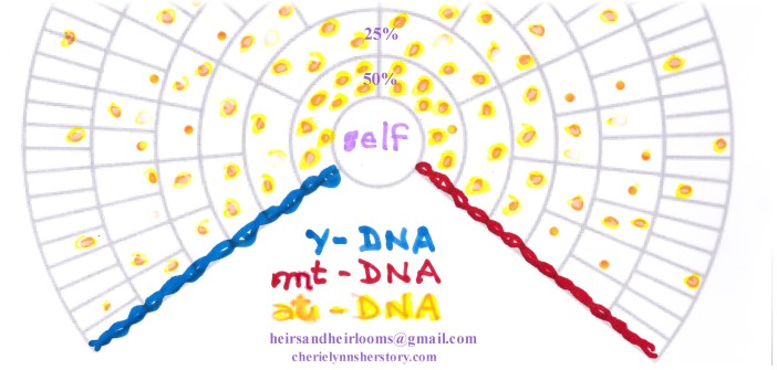 mt-DNA ~ Pedigree Collapse AND collapse over folks mistakes in ...