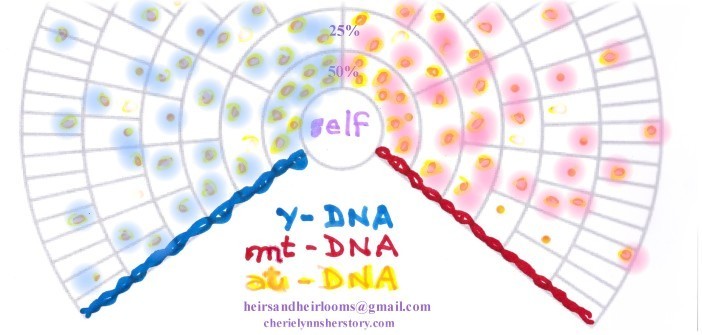 Genetic Ancestors? Do What? We Only Get Readable DNA From Some ...