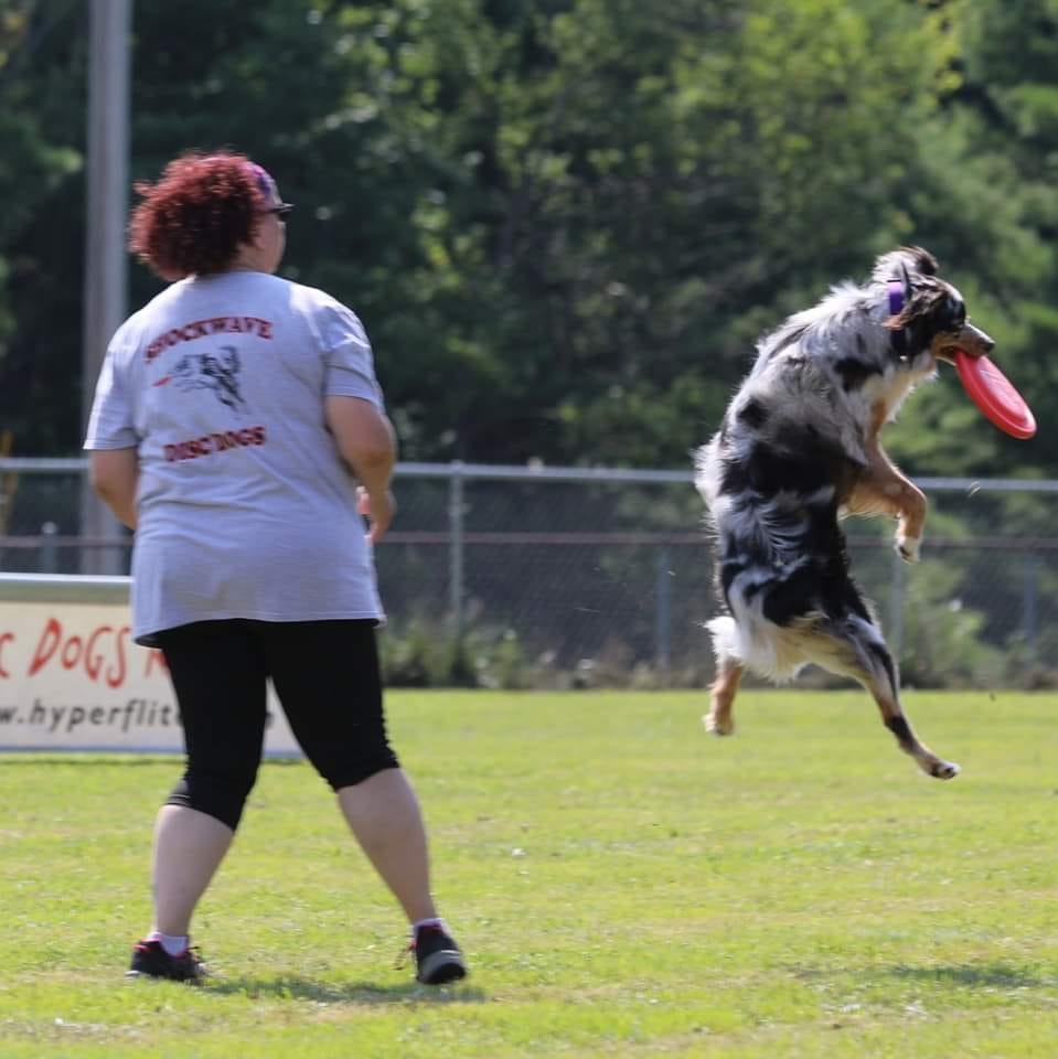 Shockwave Disc Dogs – This Saturday – Be There! | Cherie Lynn's Herstory